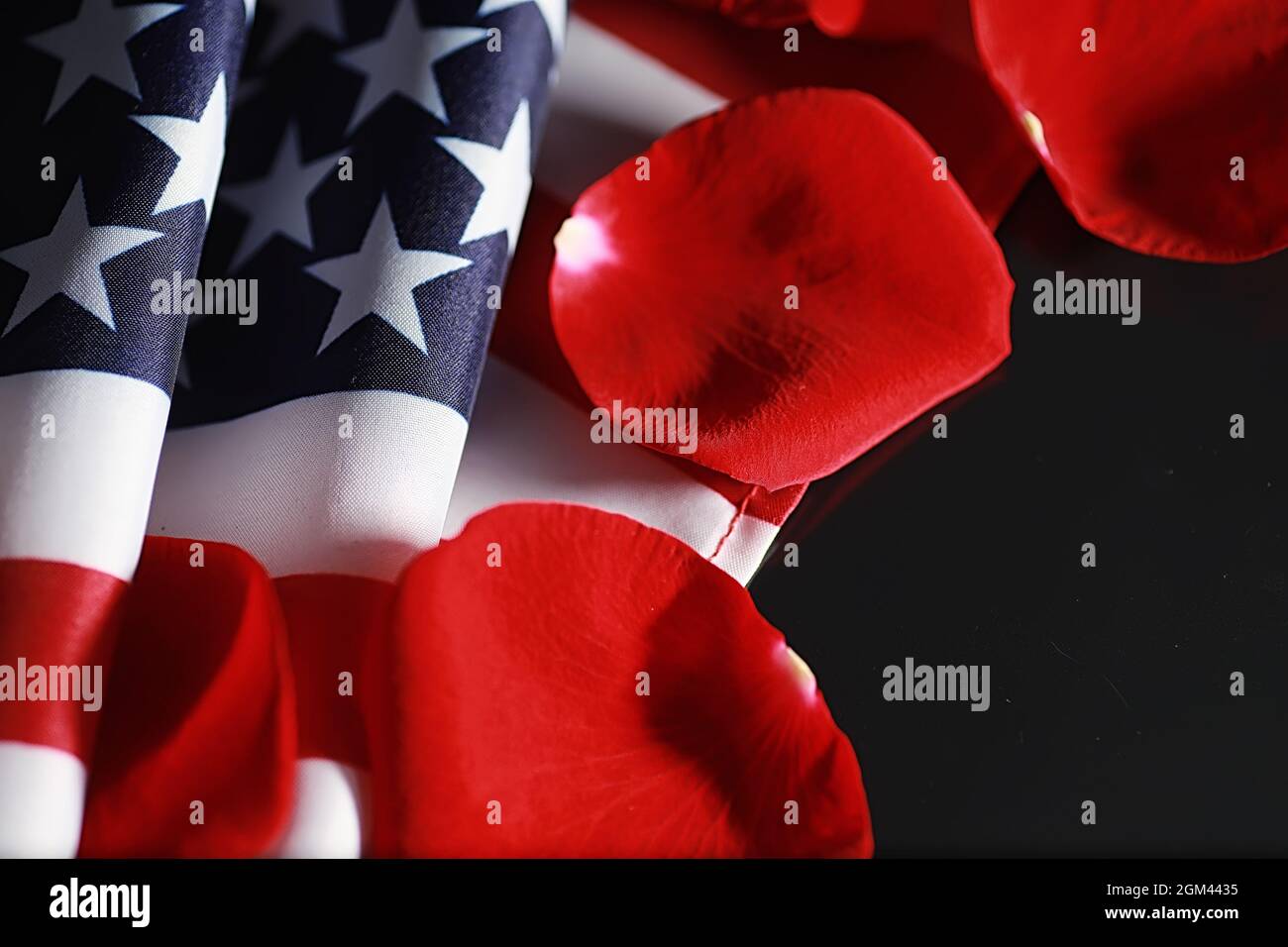 American flag and rose flower on table. Symbol of the United States of ...