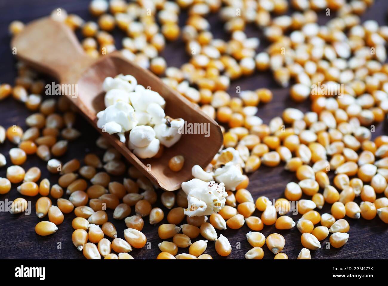 Group of yellow raw corn kernels sweet corn. Grain seeds ingredient ...
