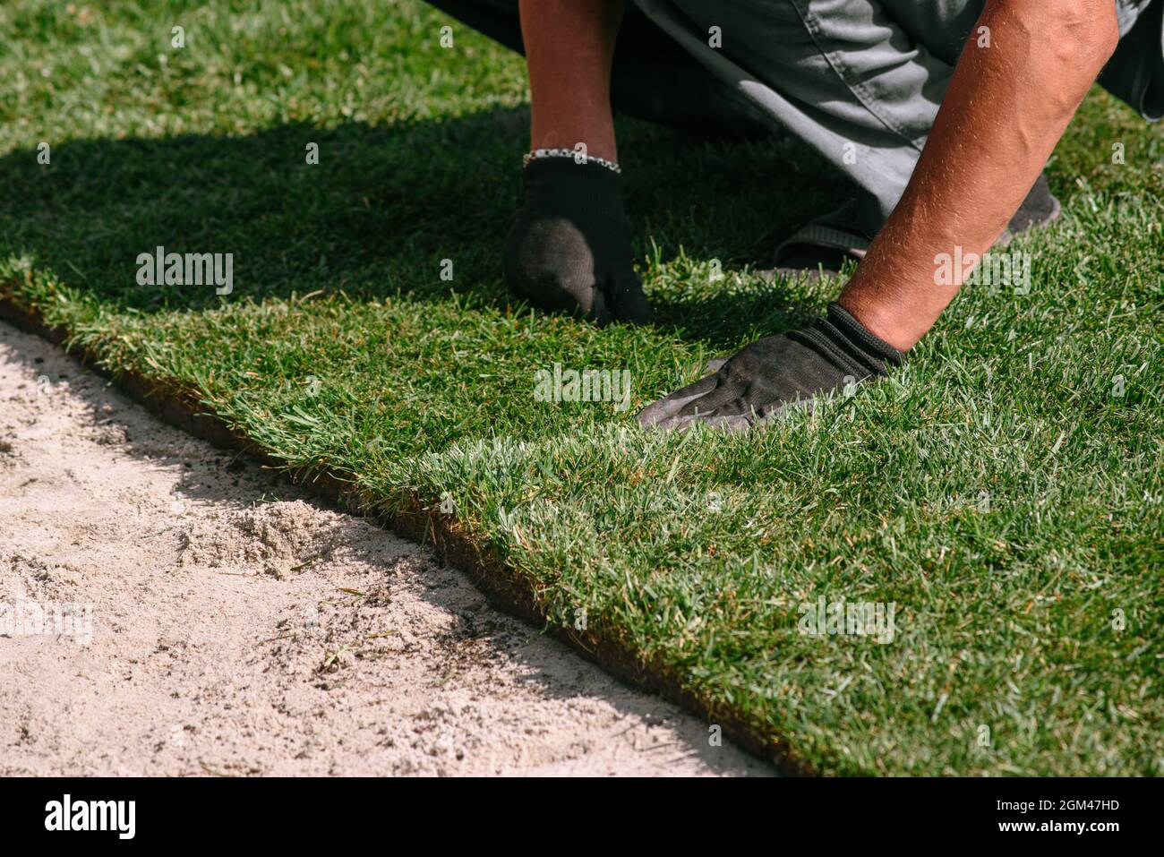 Stacking of roll sod. Hands in gardening gloves laying turf installing ...