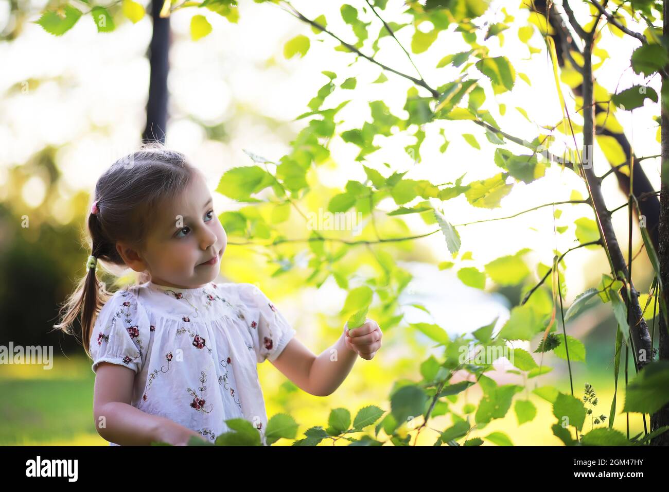 The family is resting in nature. Vacations in the fresh air. Weekend ...