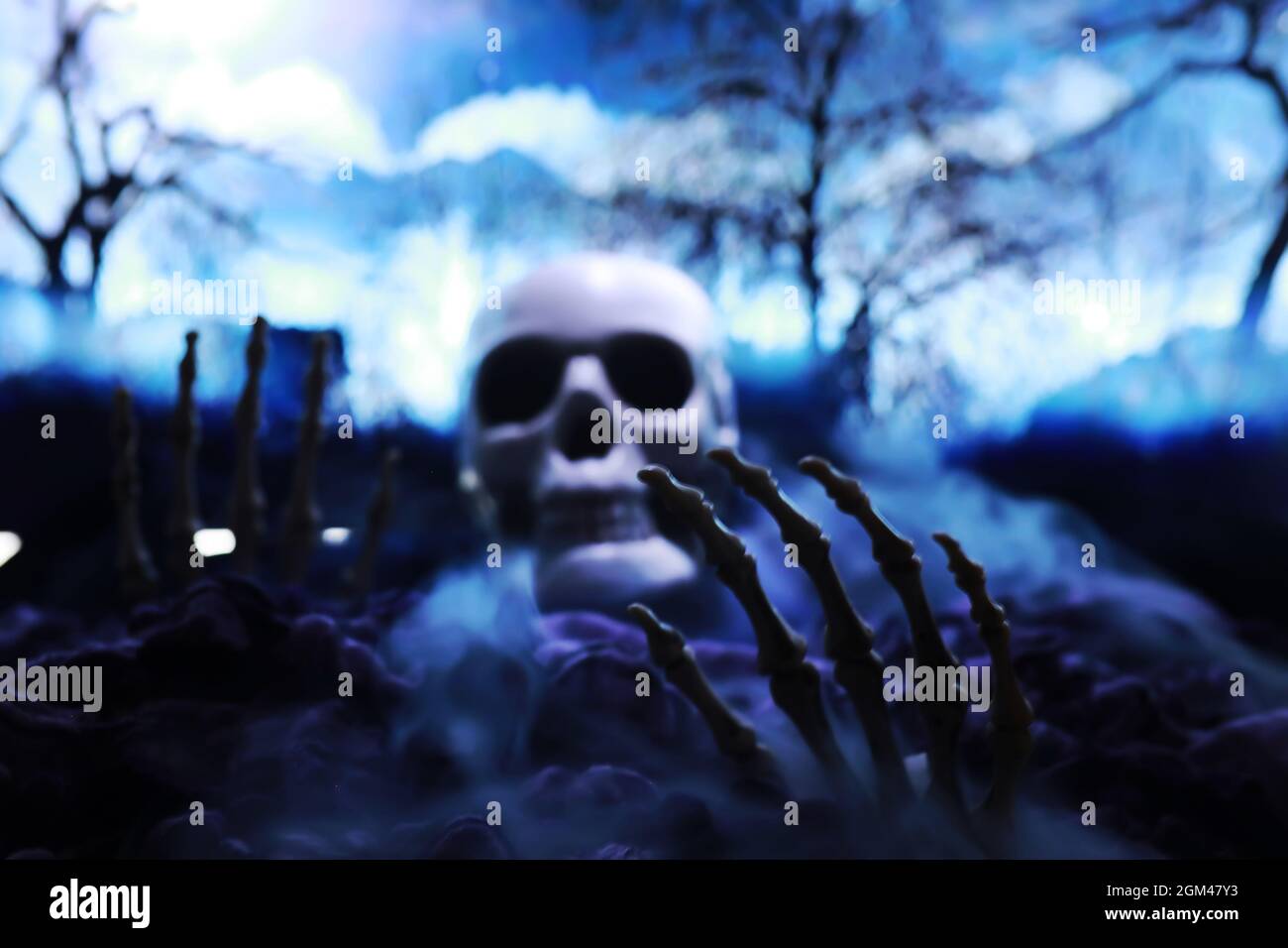 Skeleton Zombie Hand Rising Out Of GraveYard - Halloween Stock Photo ...