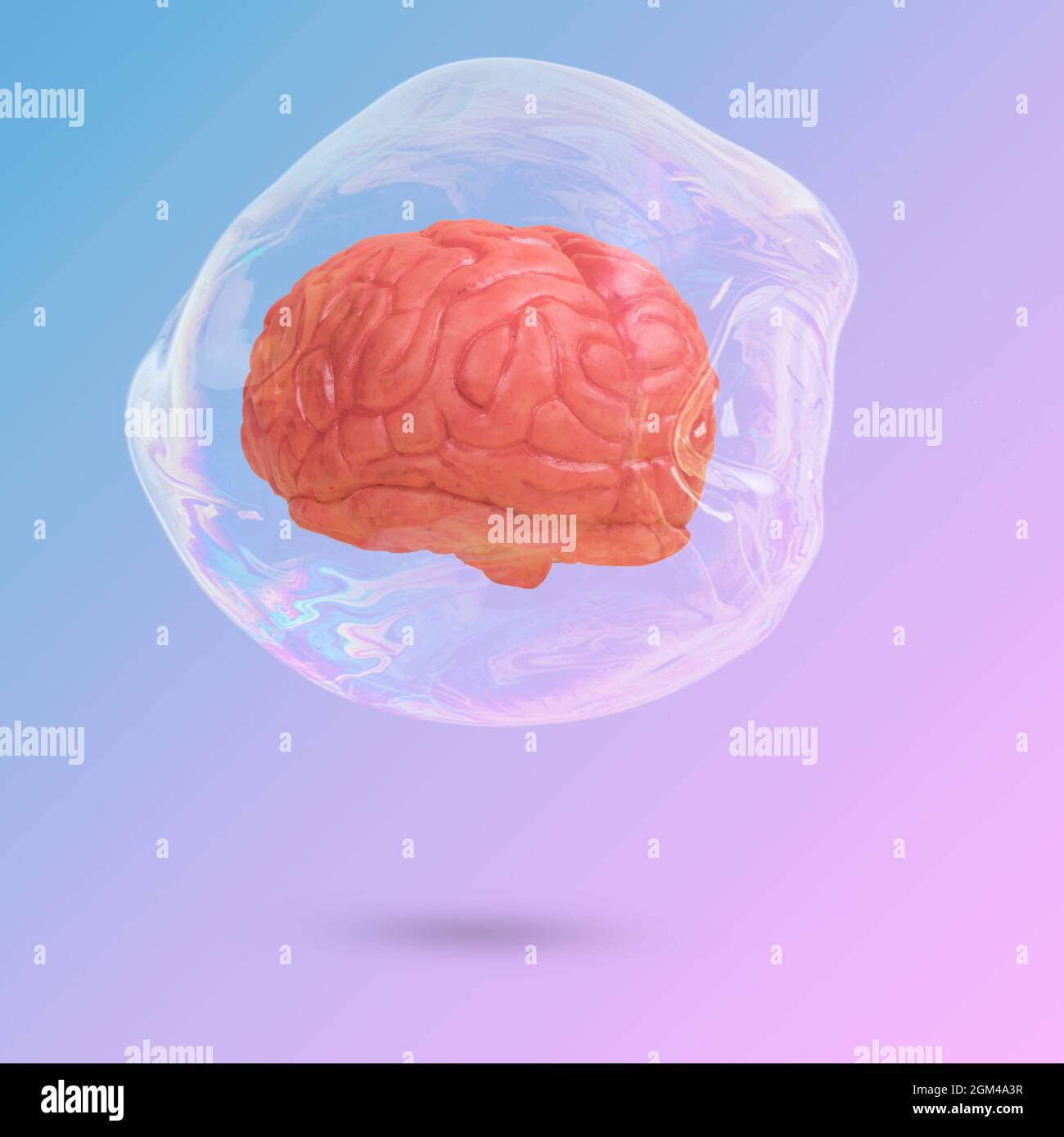 Creative minimal scene with a human brain floating in a transparent ...