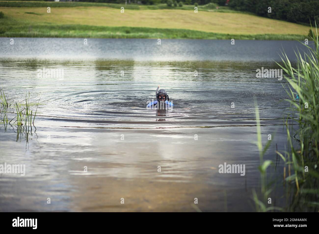 A scuba diver in a wet suit prepares to immerse in a pond Stock Photo ...