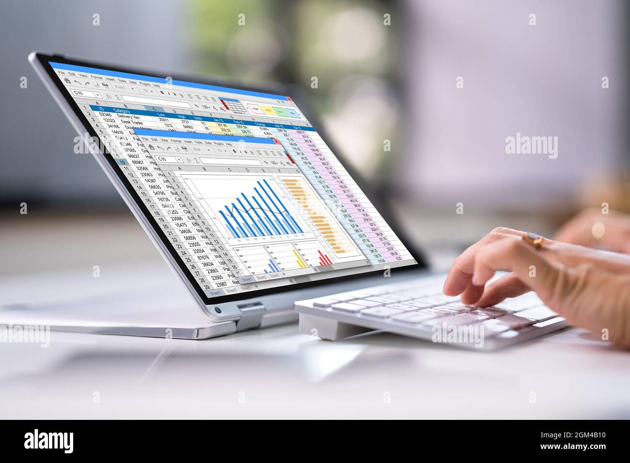 Electronic Spreadsheet Analyst Or Auditor Using Software On Hybrid ...