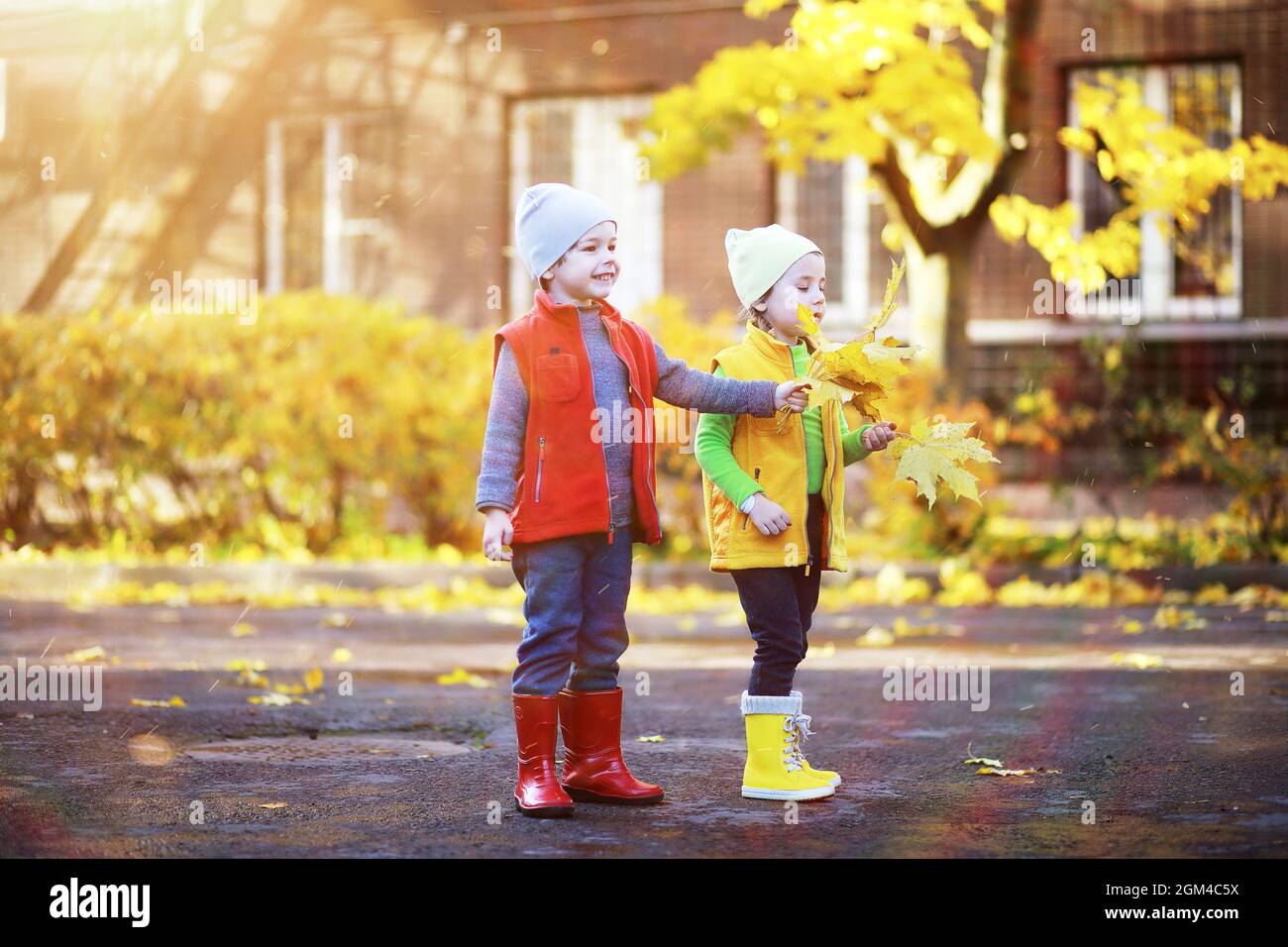 Children walk in the autumn park in the fall Stock Photo - Alamy