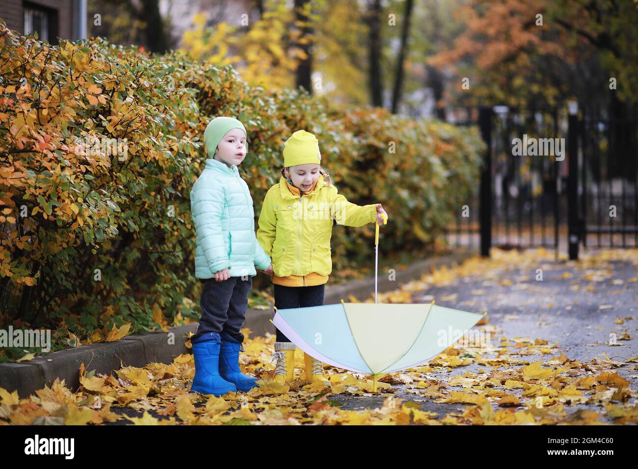 Children walk in the autumn park in the fall Stock Photo - Alamy