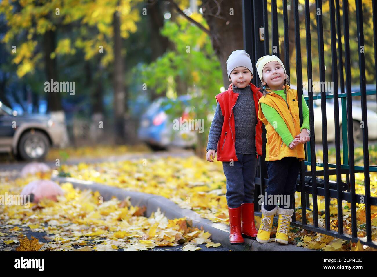 Children walk in the autumn park in the fall Stock Photo - Alamy