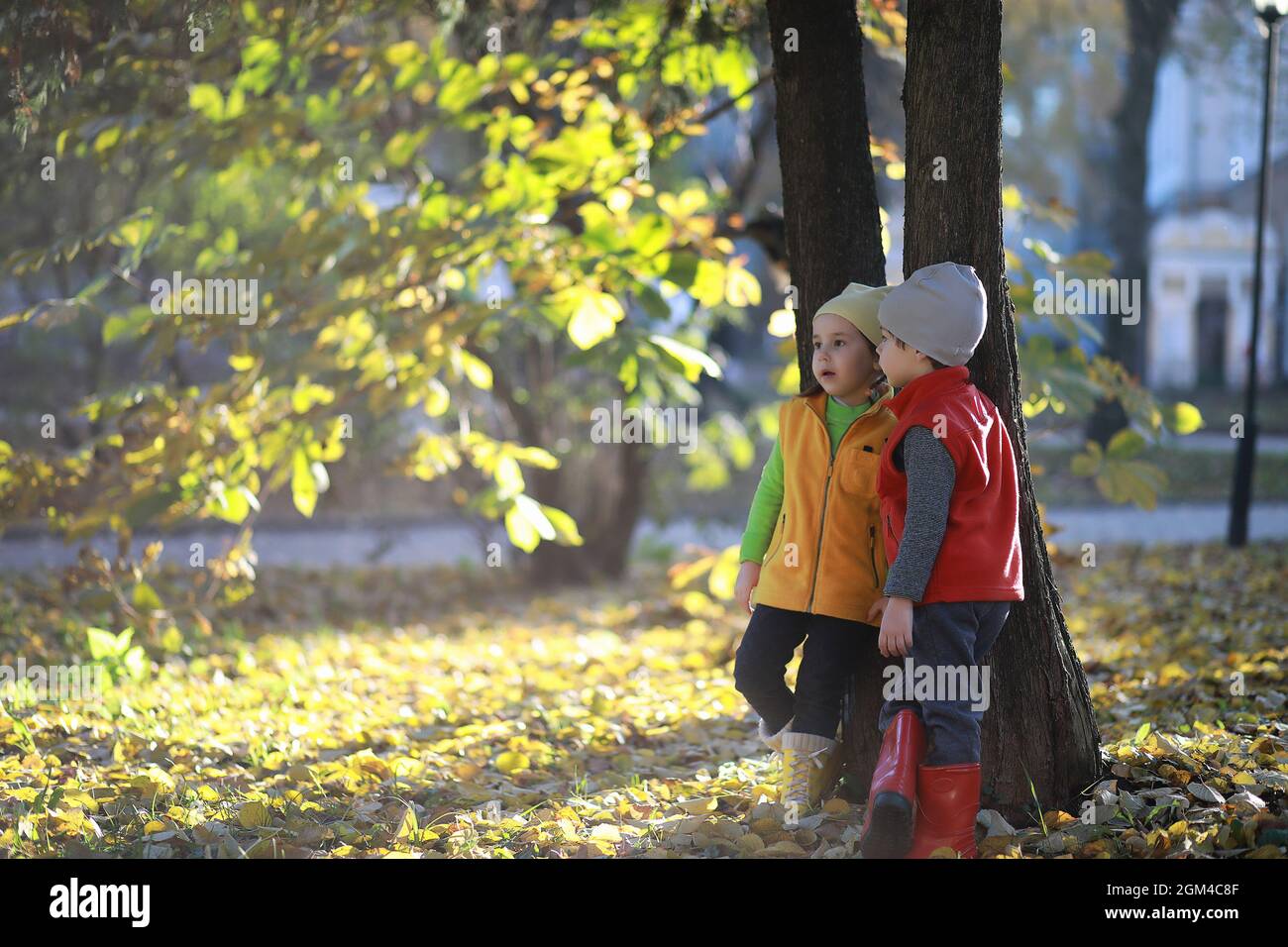 Children walk in the autumn park in the fall Stock Photo - Alamy