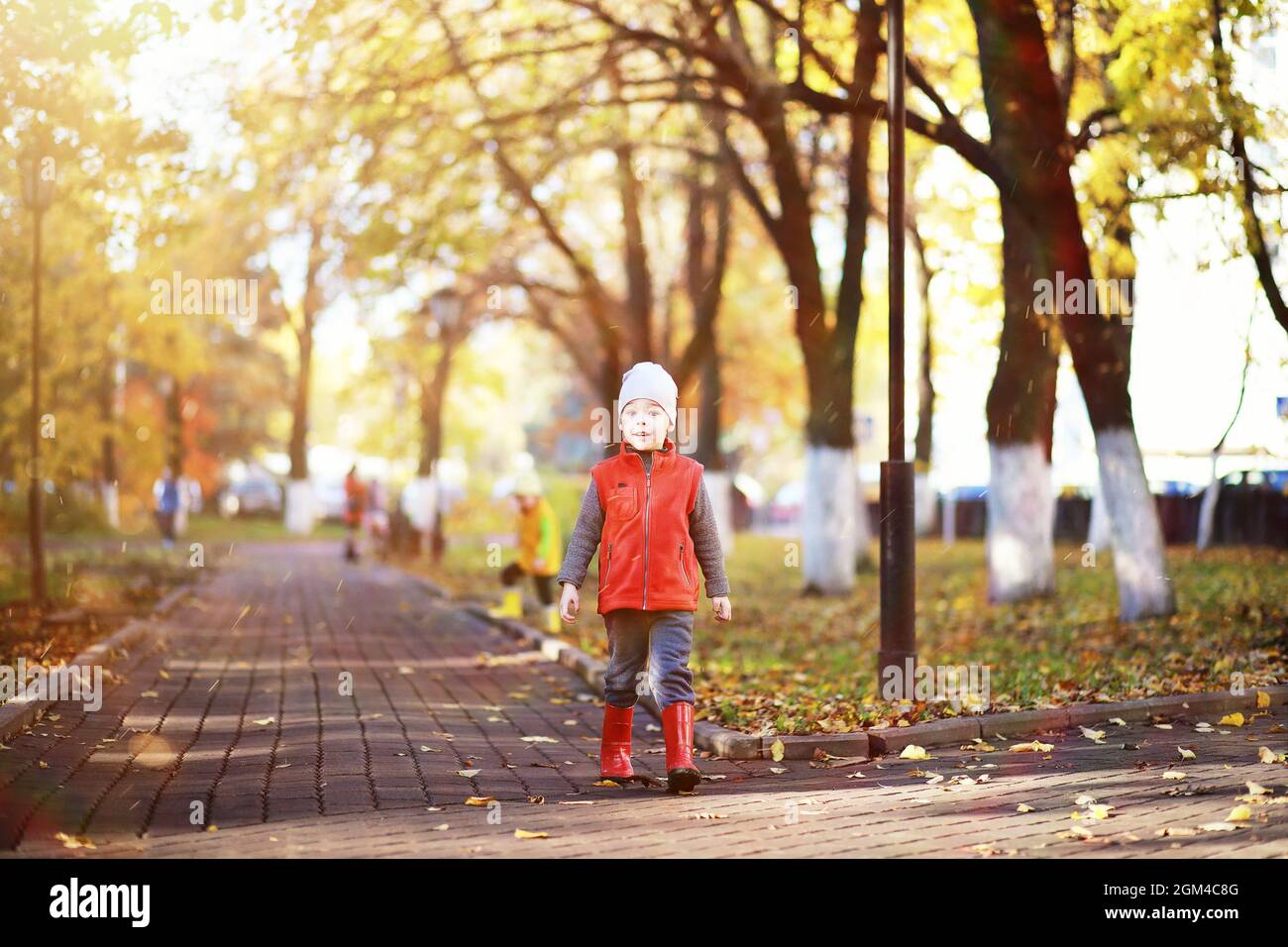 Children walk in the autumn park in the fall Stock Photo - Alamy
