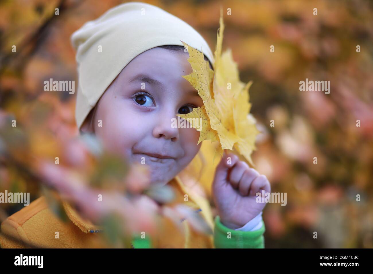 Children walk in the autumn park in the fall Stock Photo - Alamy