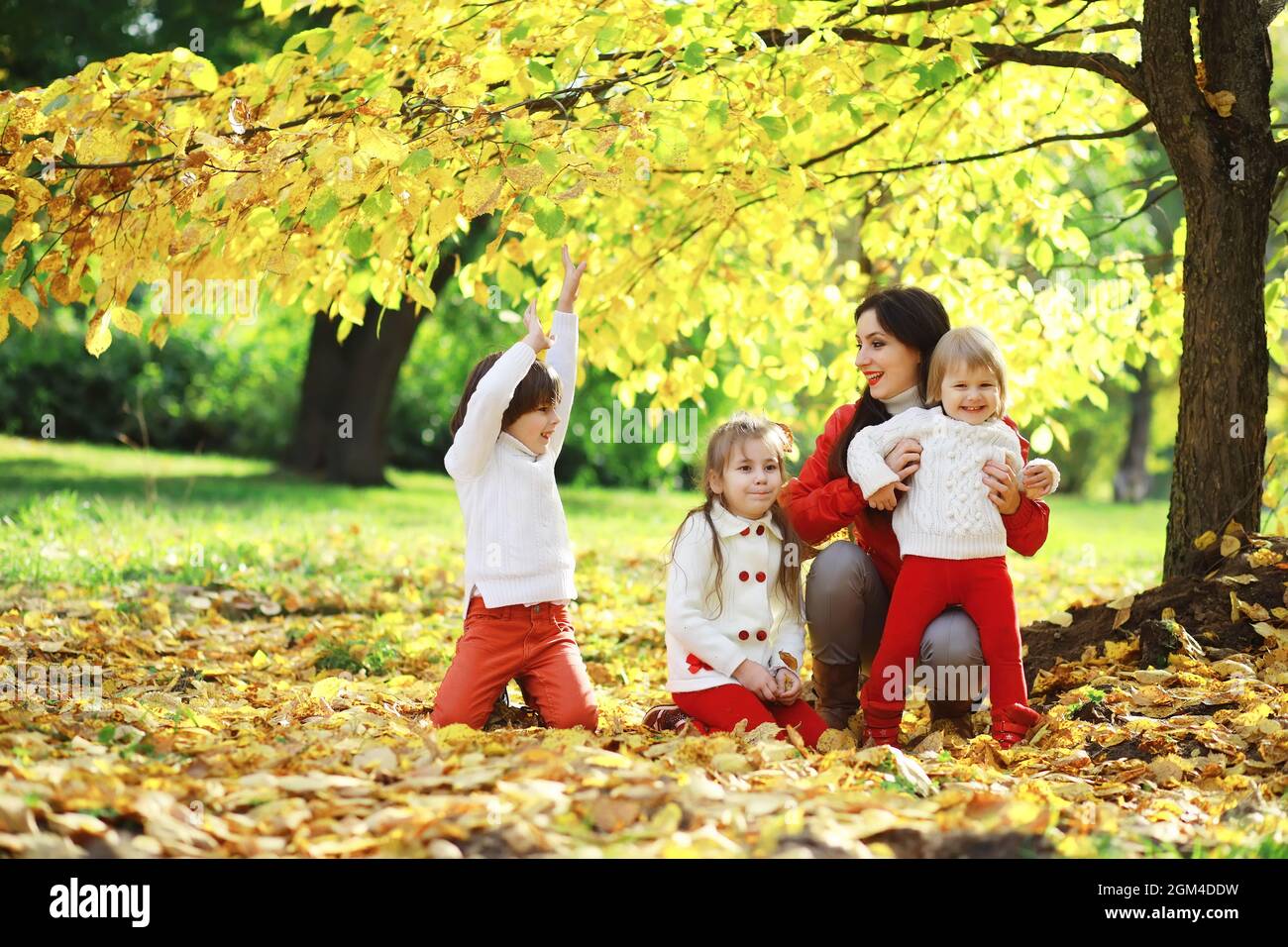 Children for a walk in autumn park. Leaf fall in the park. Family. Fall ...