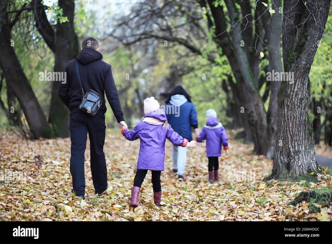 Children for a walk in autumn park. Leaf fall in the park. Family. Fall ...