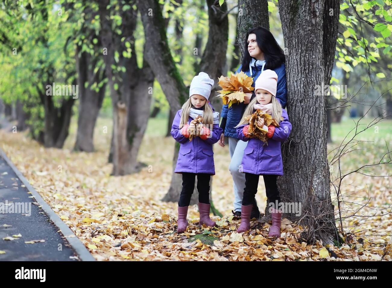 Children for a walk in autumn park. Leaf fall in the park. Family. Fall ...