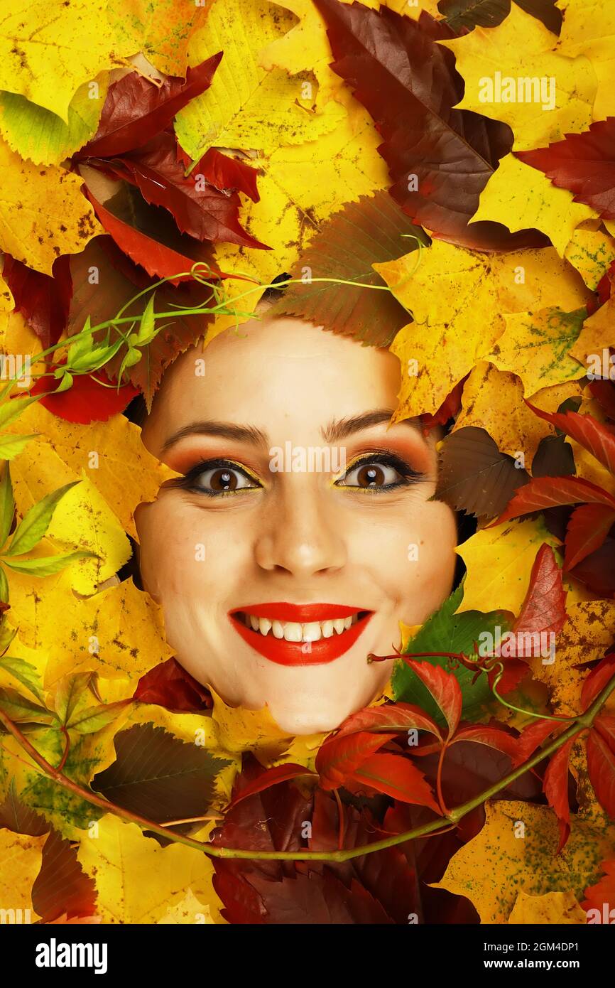 Artistic conceptual autumn portrait. Colorful leaves. Leaves of trees ...