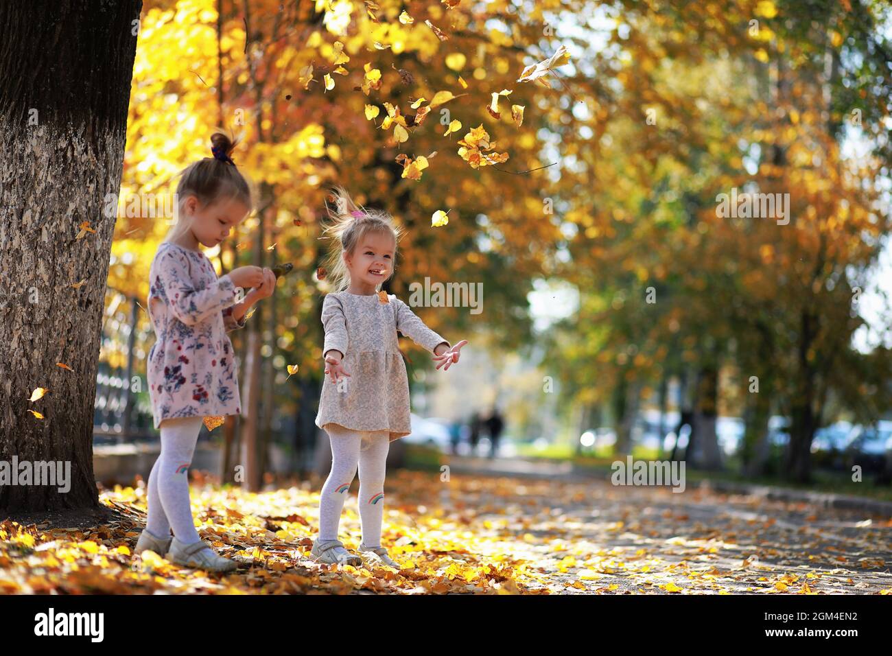 Leaf fall in the park. Children for a walk in the autumn park. Family ...