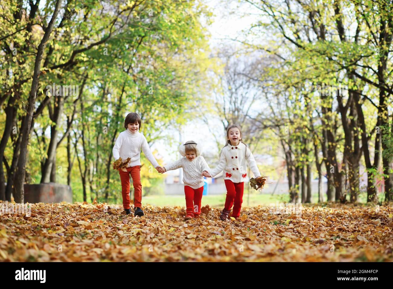 Children for a walk in autumn park. Leaf fall in the park. Family. Fall ...