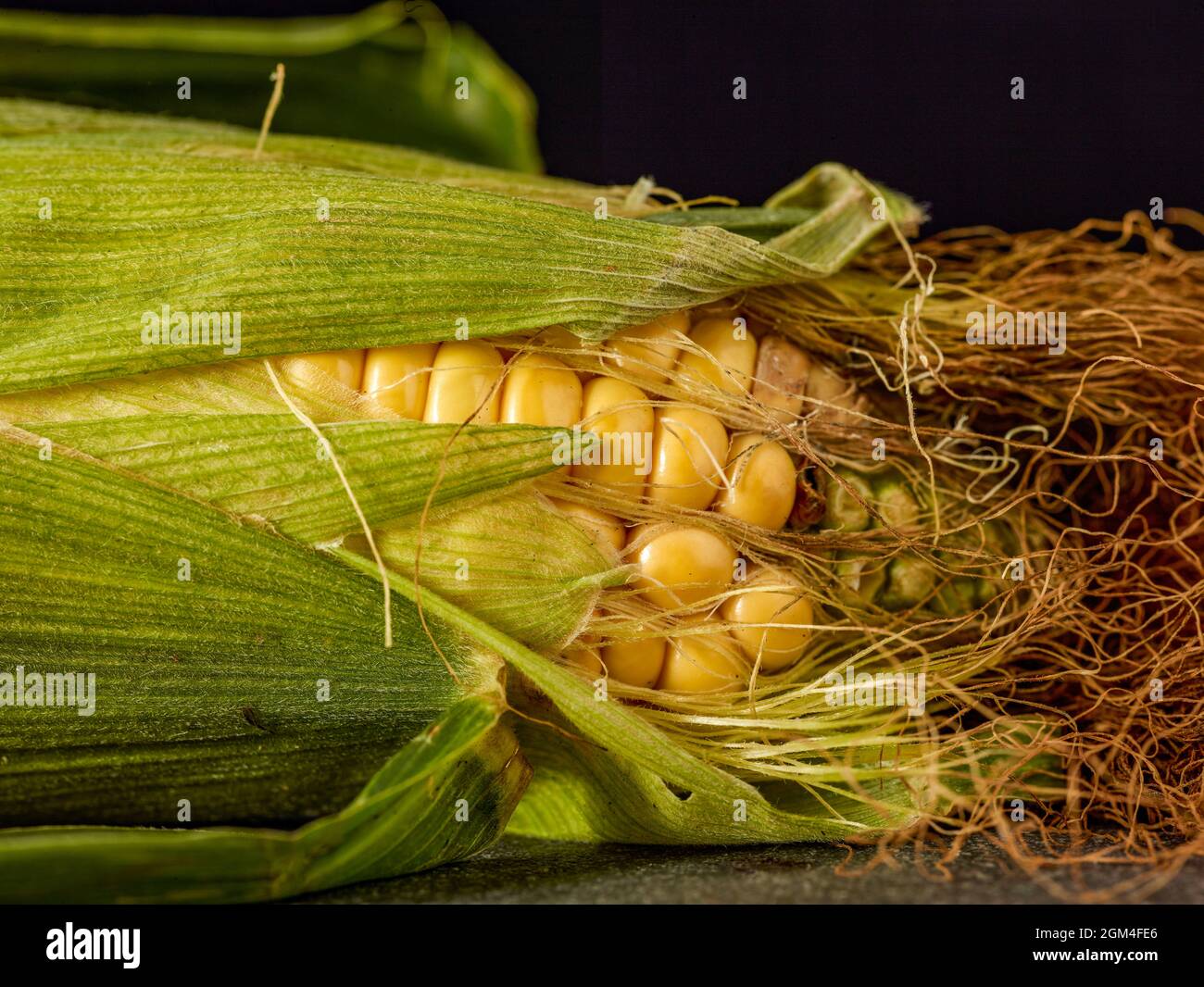 Sweetcorn (Maize) cob natural foodstuff still-life portrait Stock Photo ...