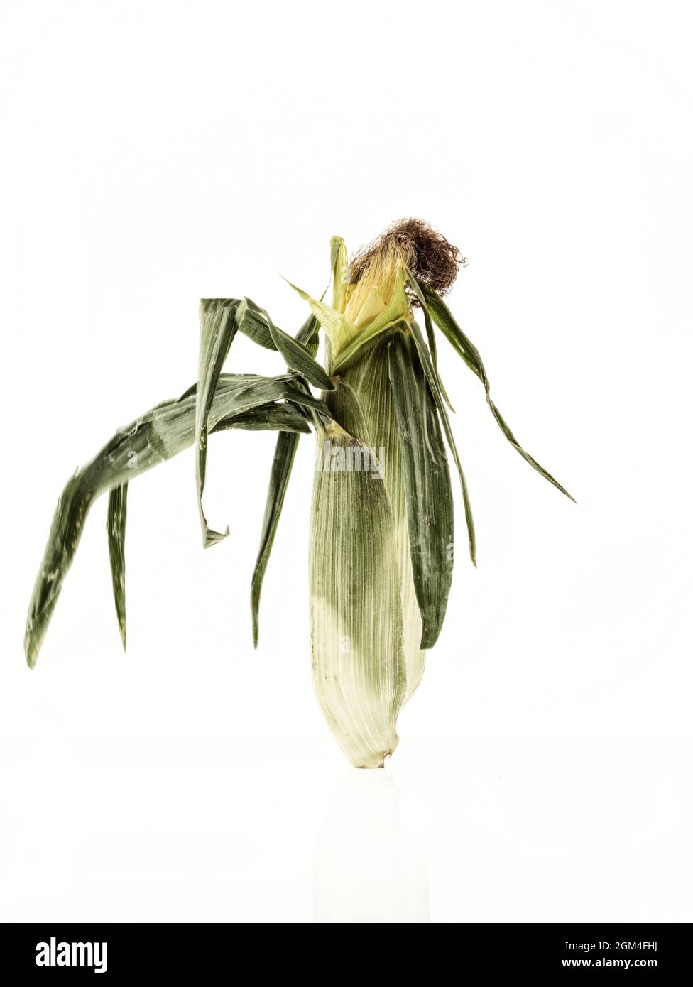 Maize grinding Cut Out Stock Images & Pictures - Alamy