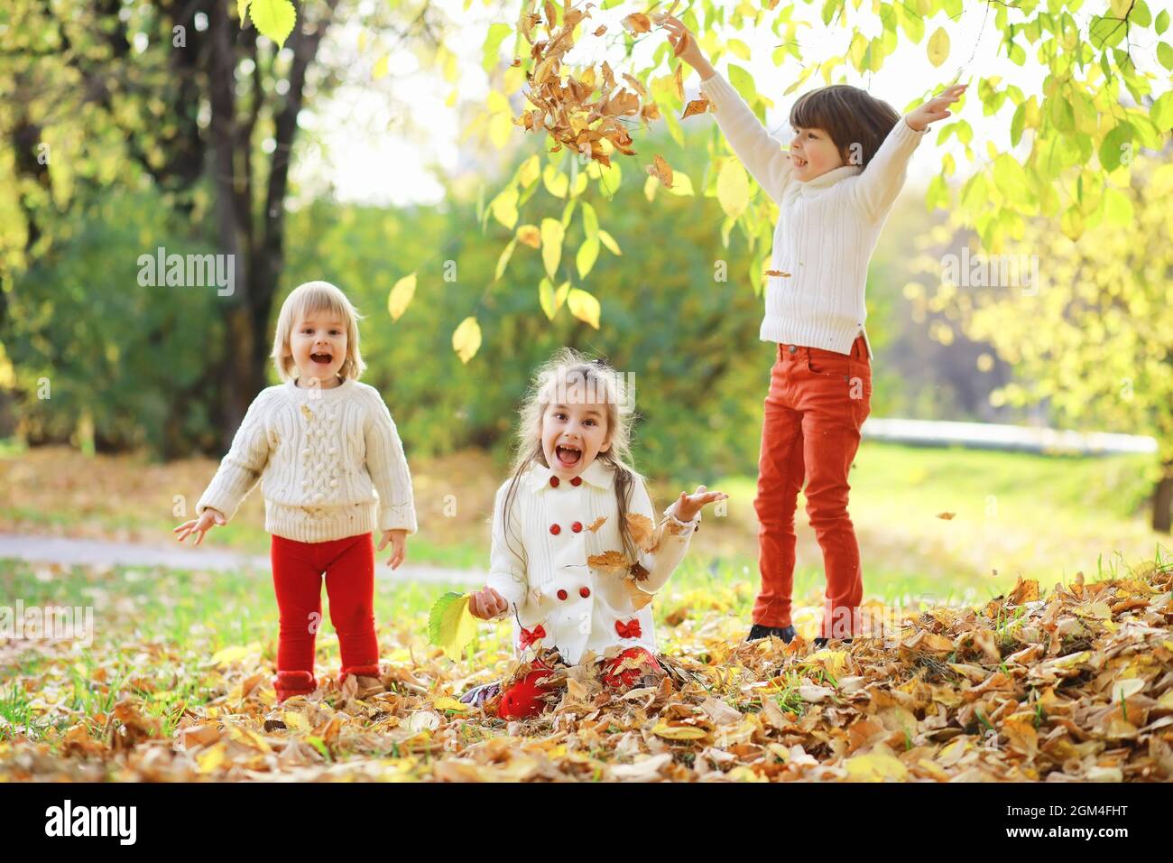 Children for a walk in autumn park. Leaf fall in the park. Family. Fall ...