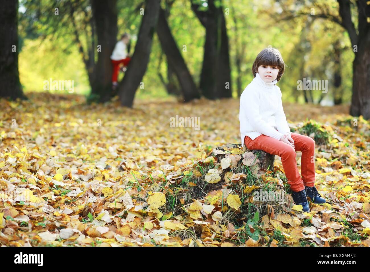 Children for a walk in autumn park. Leaf fall in the park. Family. Fall ...