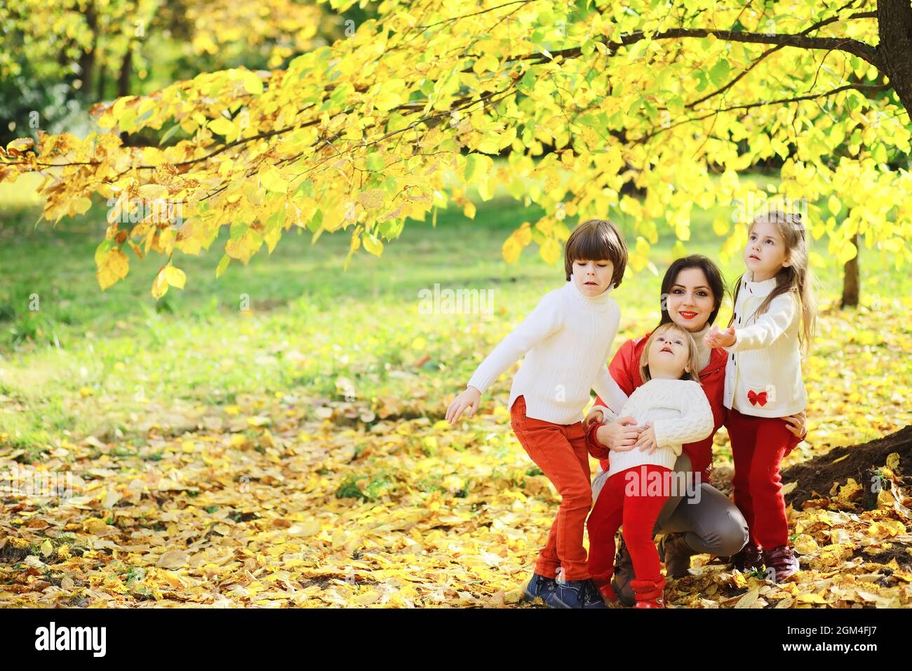 Children for a walk in autumn park. Leaf fall in the park. Family. Fall ...