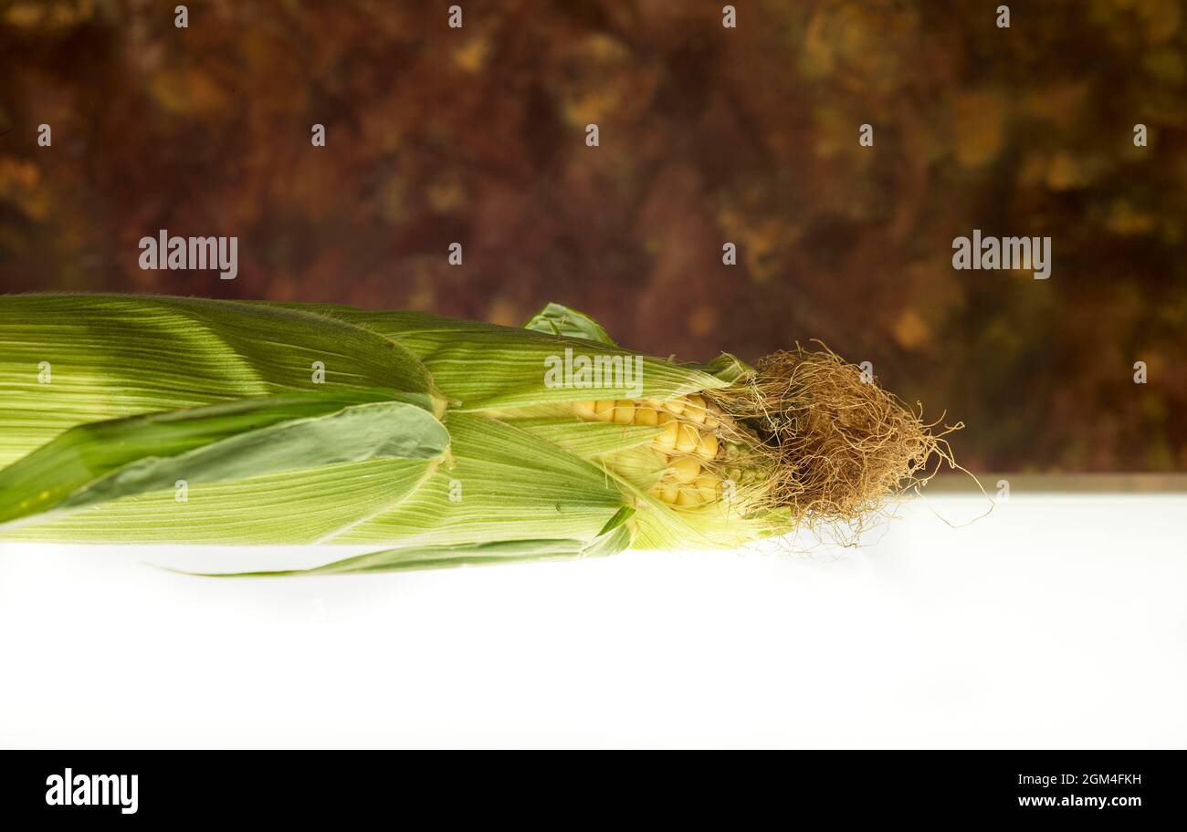 Sweetcorn (Maize) cob natural foodstuff still-life portrait Stock Photo ...