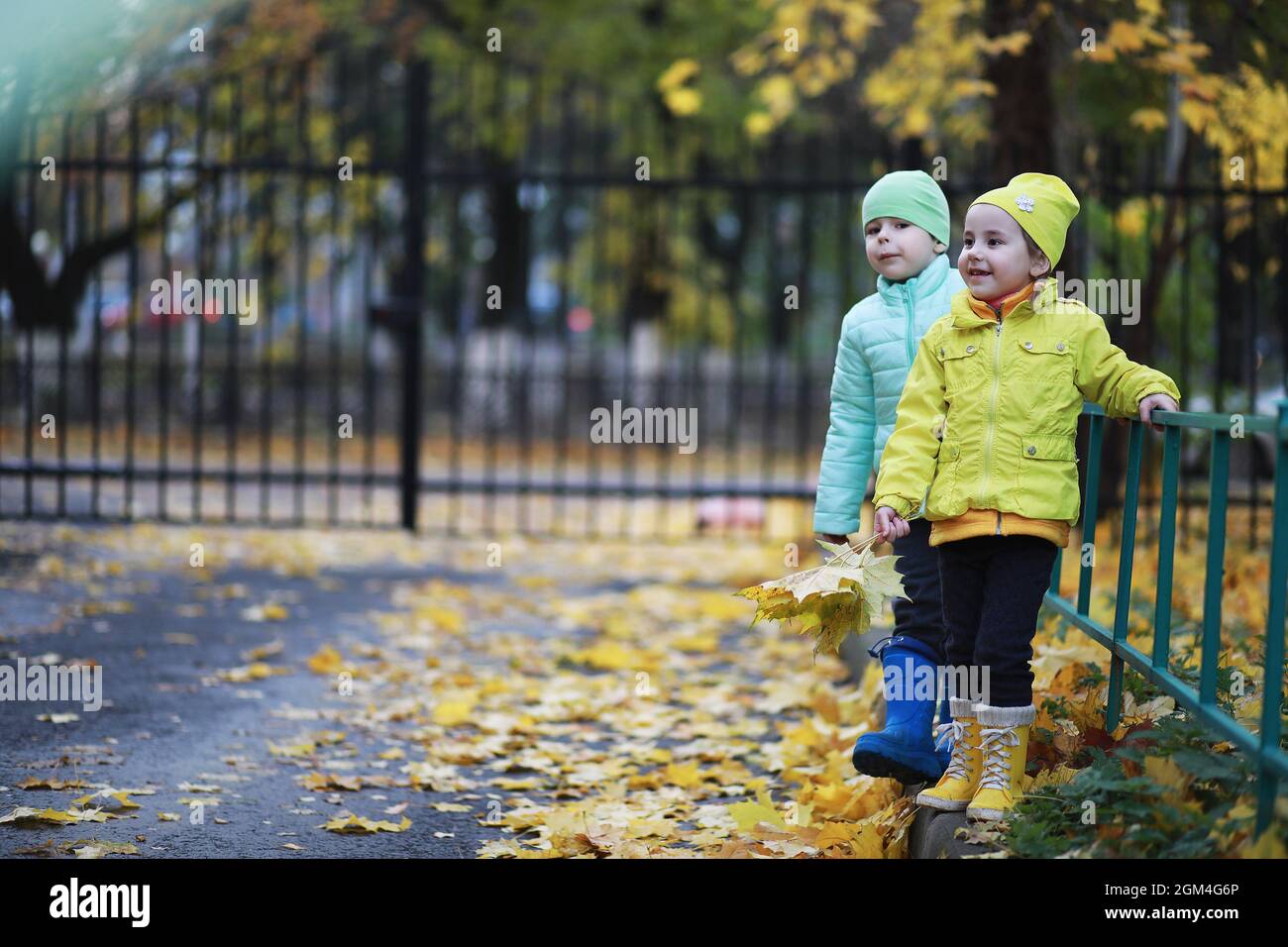 Children walk in the autumn park in the fall Stock Photo - Alamy