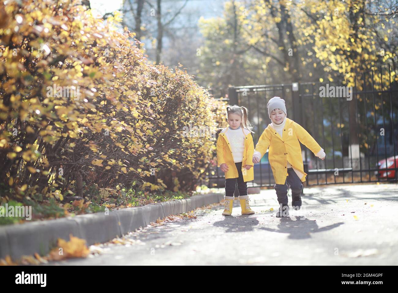 Children walk in the autumn park in the fall Stock Photo - Alamy