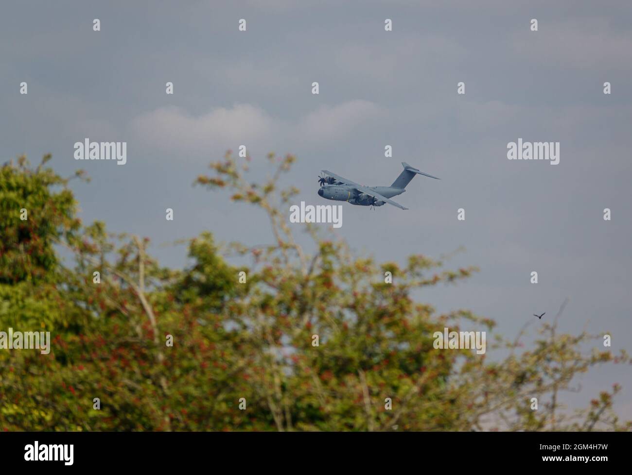 ZM401 RAF Royal Air Force Airbus A400M Atlas military cargo plane on a ...