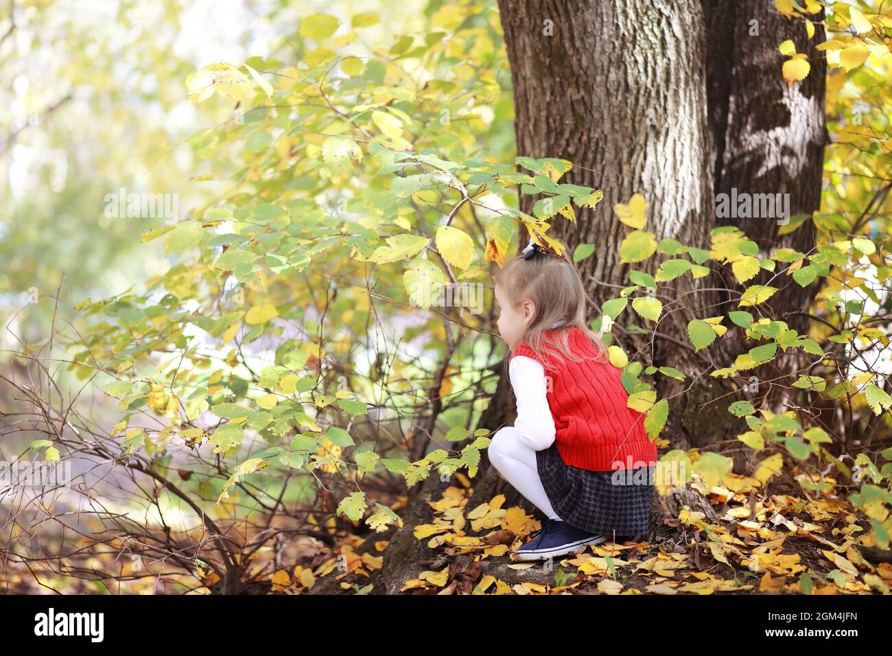 Children with briefcases for a walk in park. School break. The ...