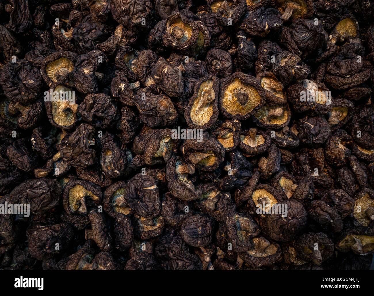 Dried shiitake mushrooms being sold at local night market in China ...