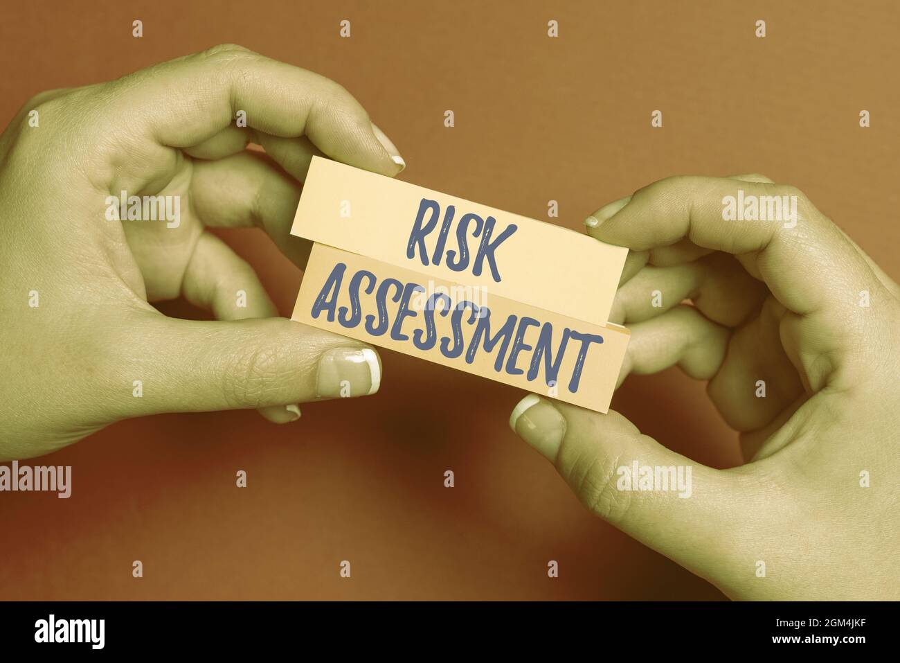 Text showing inspiration Risk Assessment. Business showcase estimation ...