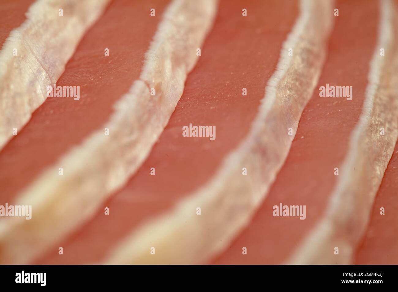 Raw marinated pork lean loin cut into thin sliced with almost all of ...