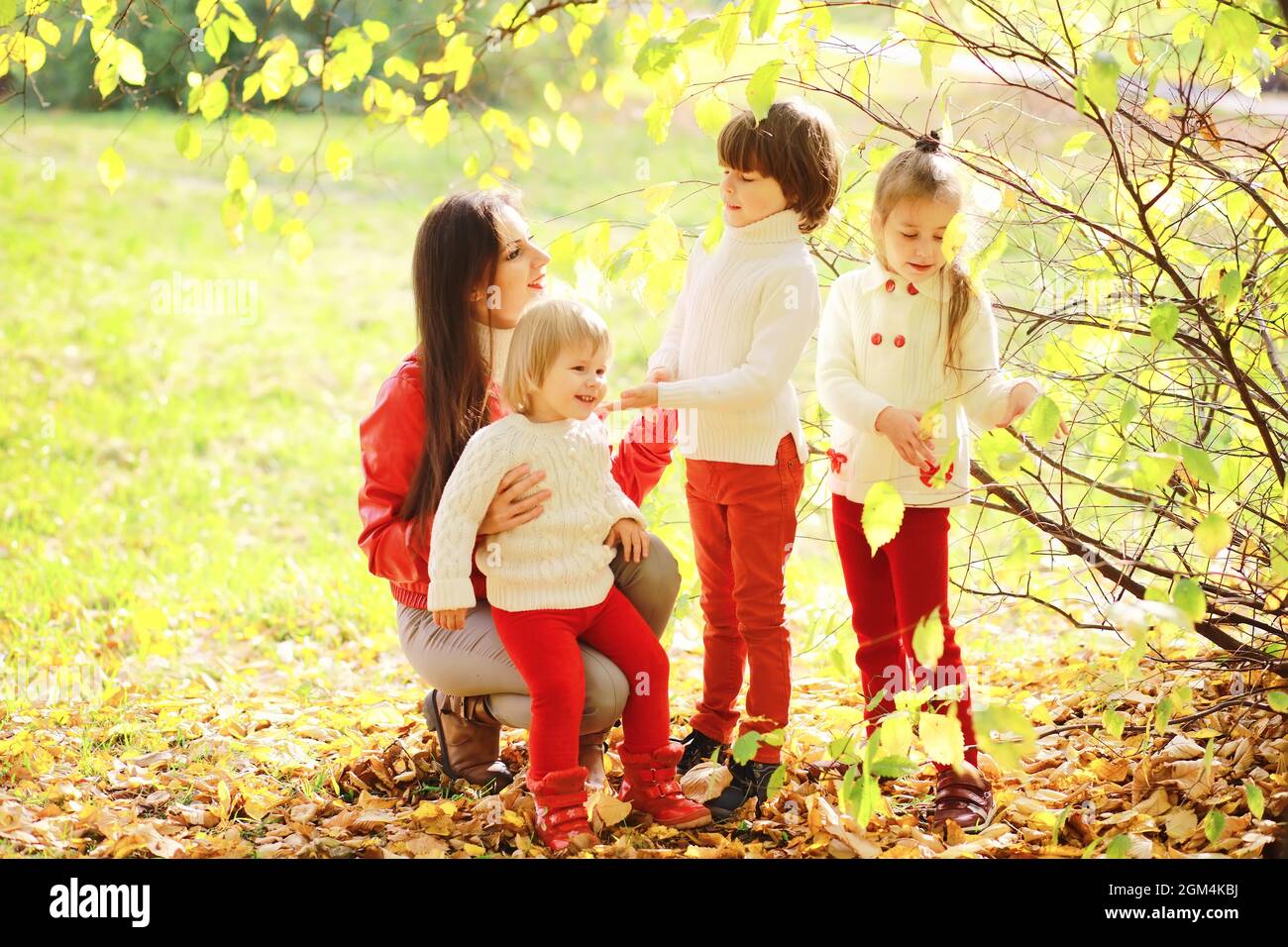 Children for a walk in autumn park. Leaf fall in the park. Family. Fall ...