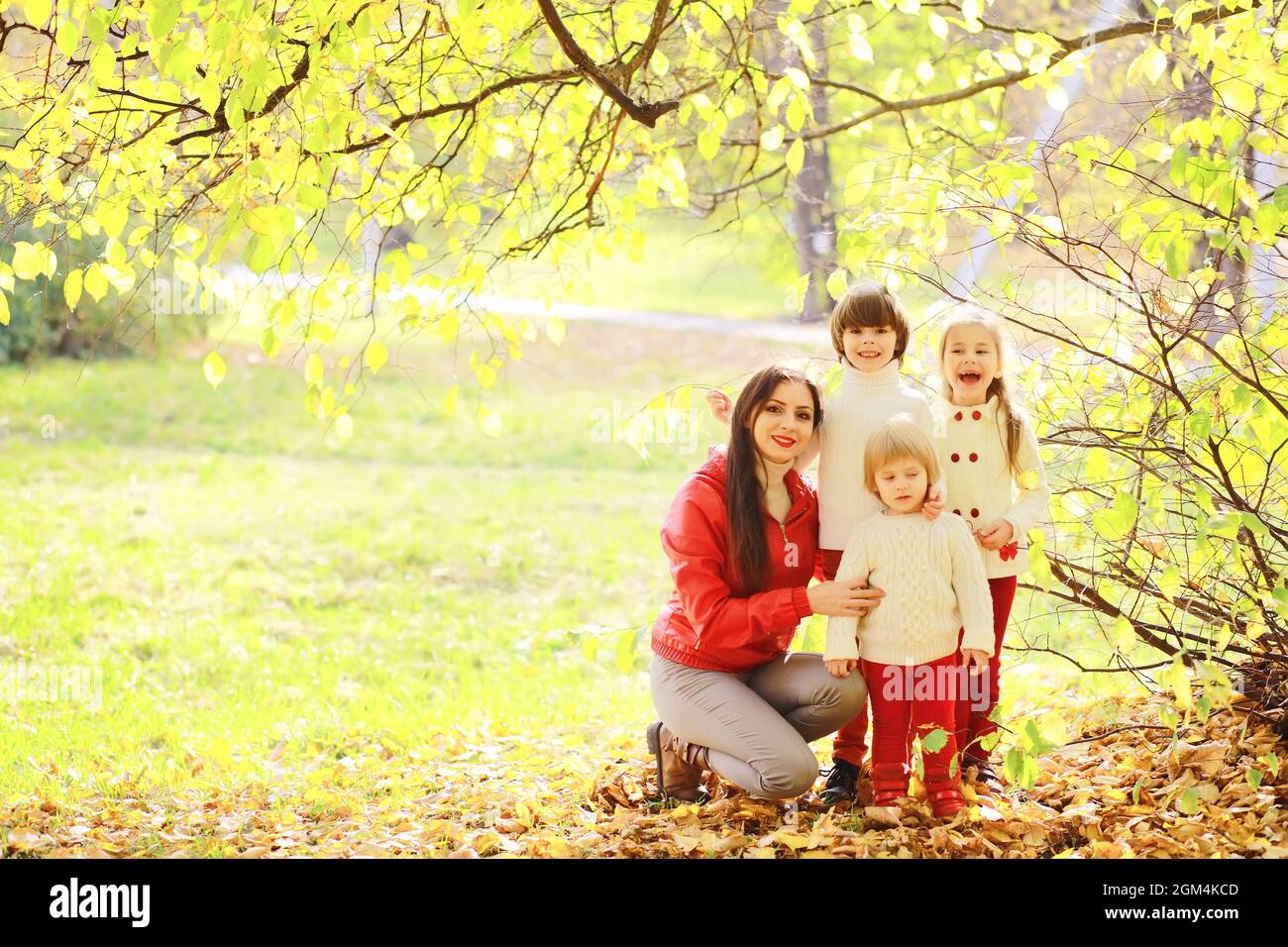 Children for a walk in autumn park. Leaf fall in the park. Family. Fall ...