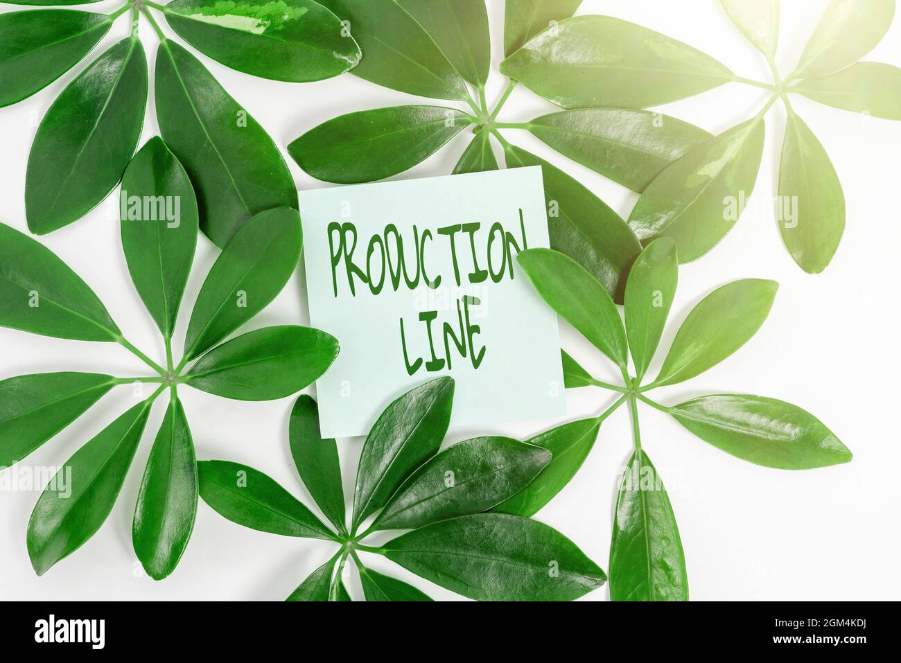 Writing displaying text Production Line. Business showcase set of ...