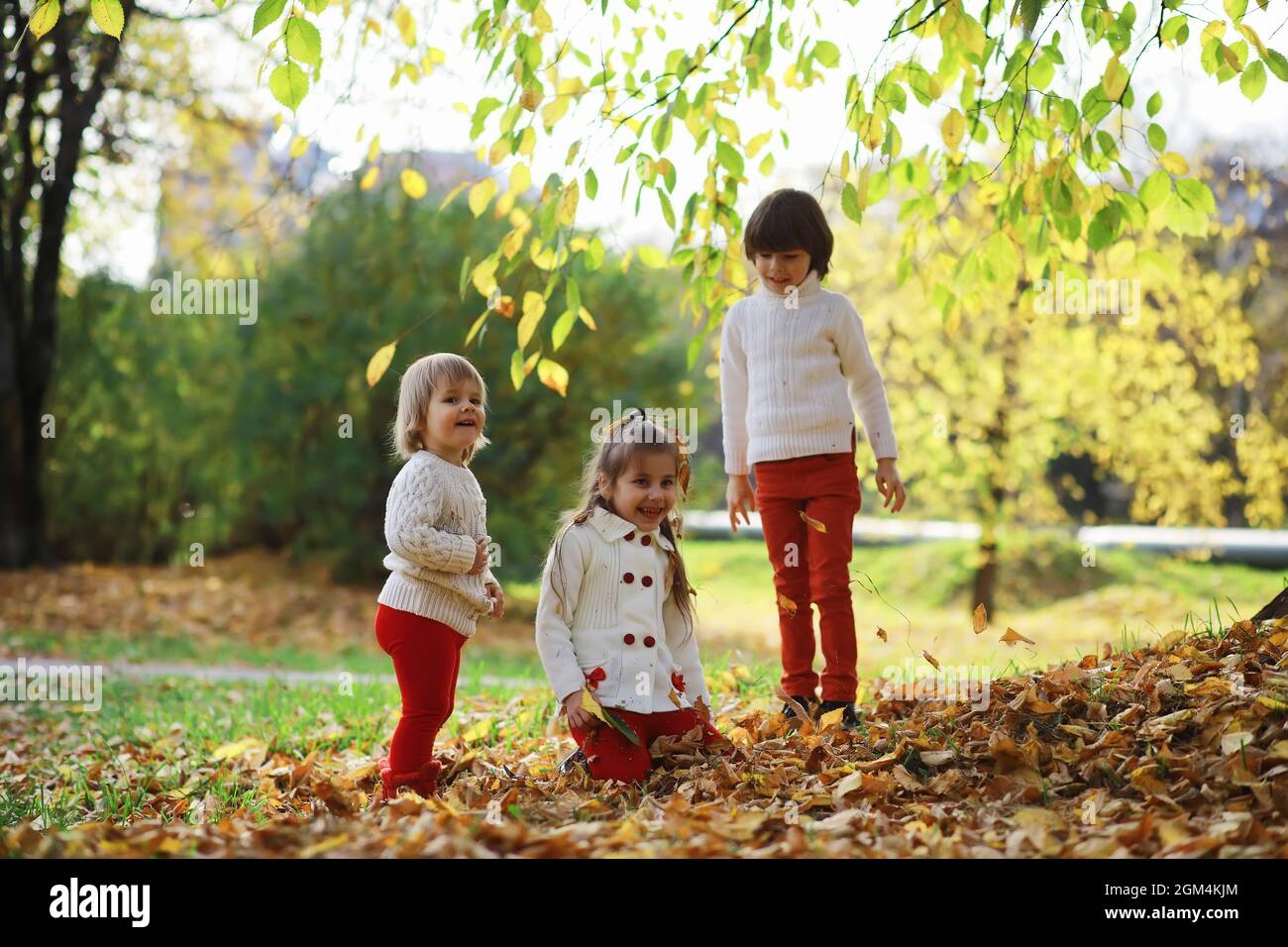Children for a walk in autumn park. Leaf fall in the park. Family. Fall ...