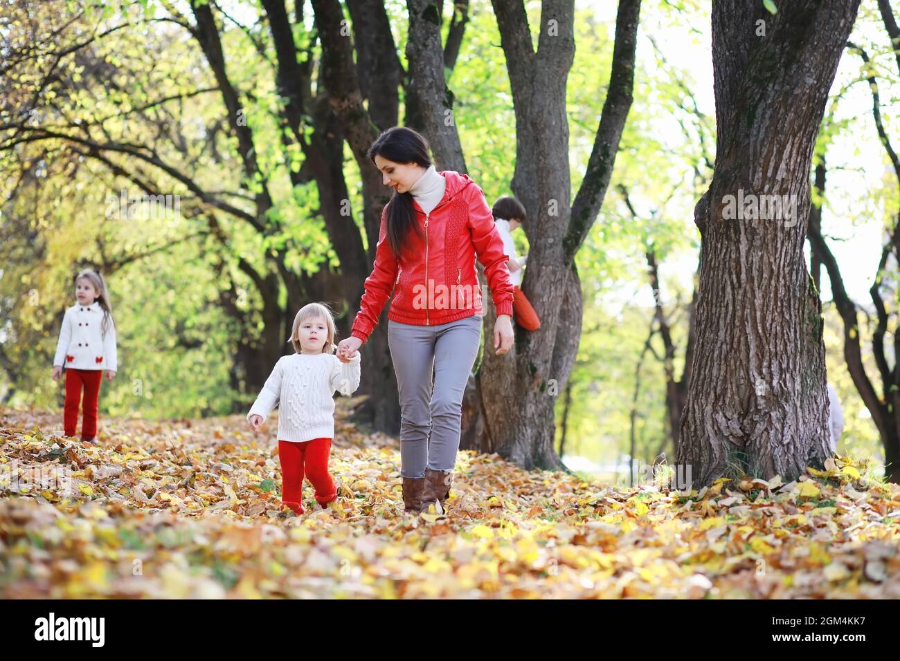 Children for a walk in autumn park. Leaf fall in the park. Family. Fall ...