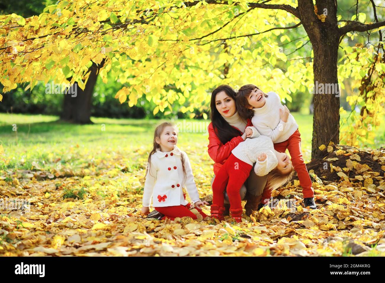 Children for a walk in autumn park. Leaf fall in the park. Family. Fall ...