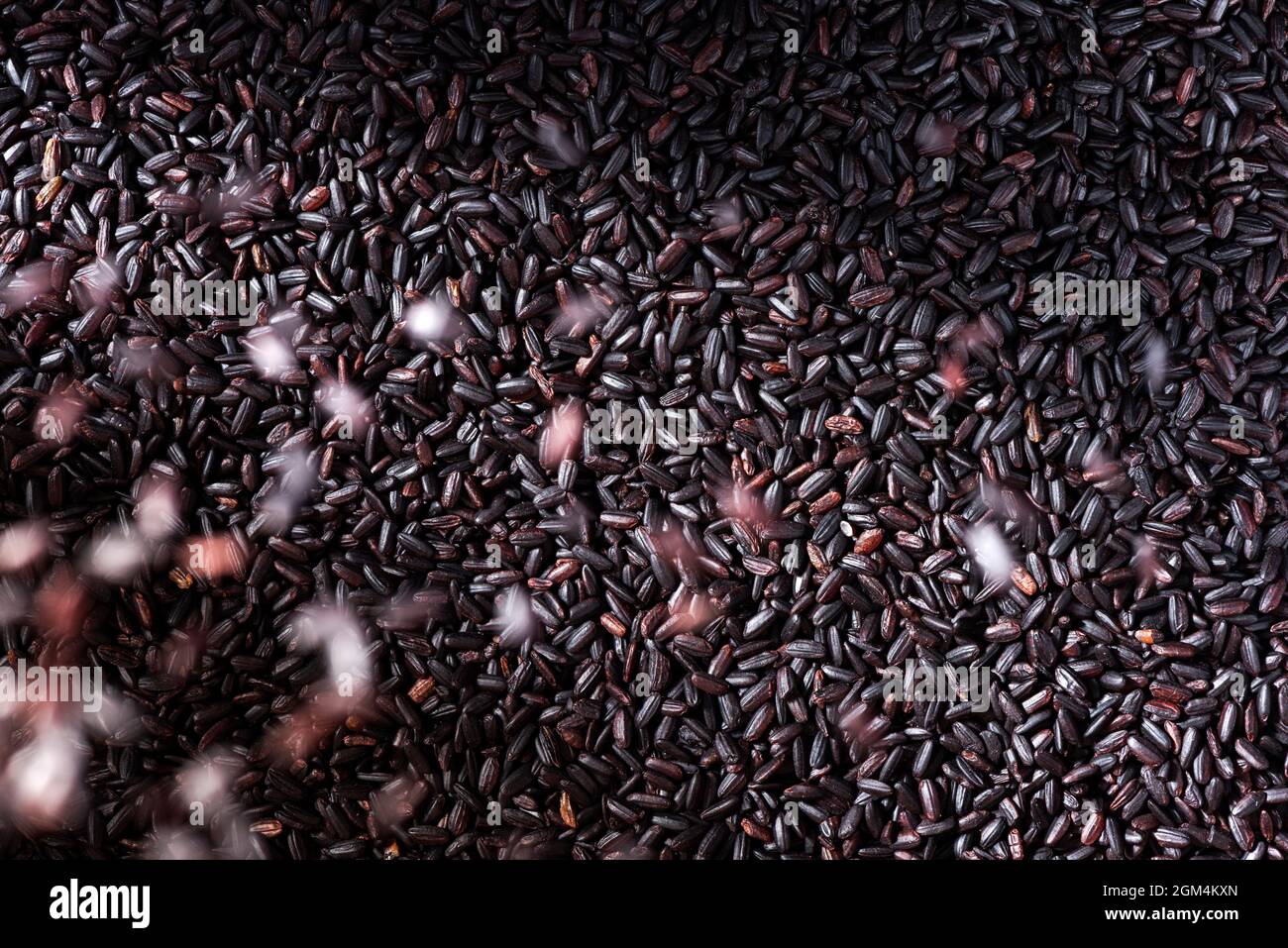 Uncooked Black Rice Grain Background. Flying Grains Motion Stock Photo ...