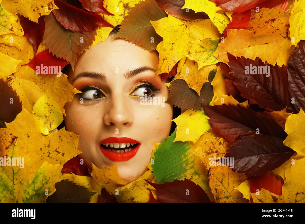 Artistic conceptual autumn portrait. Colorful leaves. Leaves of trees ...