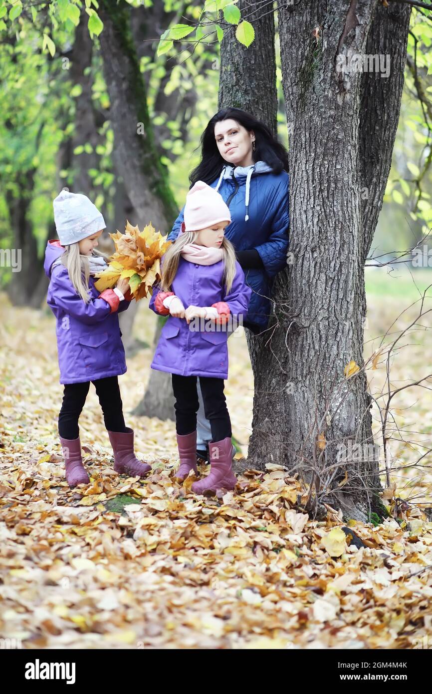 Children for a walk in autumn park. Leaf fall in the park. Family. Fall ...