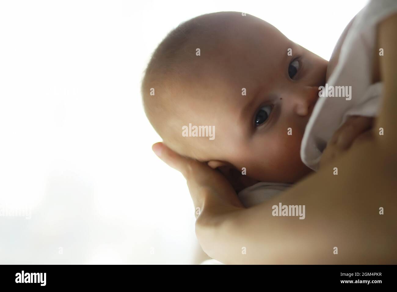 Maternity concept. A young mother feeds her little baby. First lure and ...