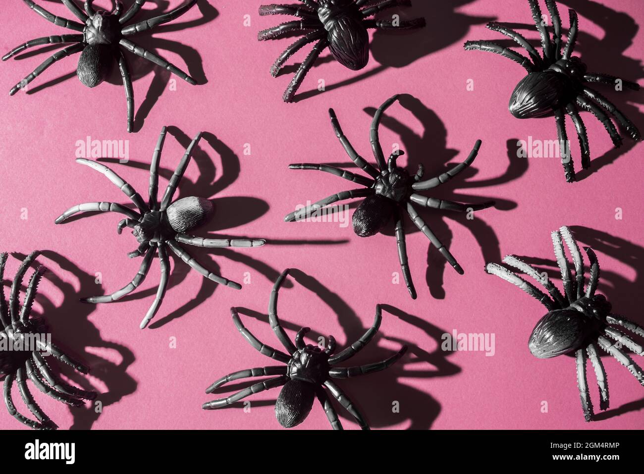 Spider casting big shadow hi-res stock photography and images - Alamy