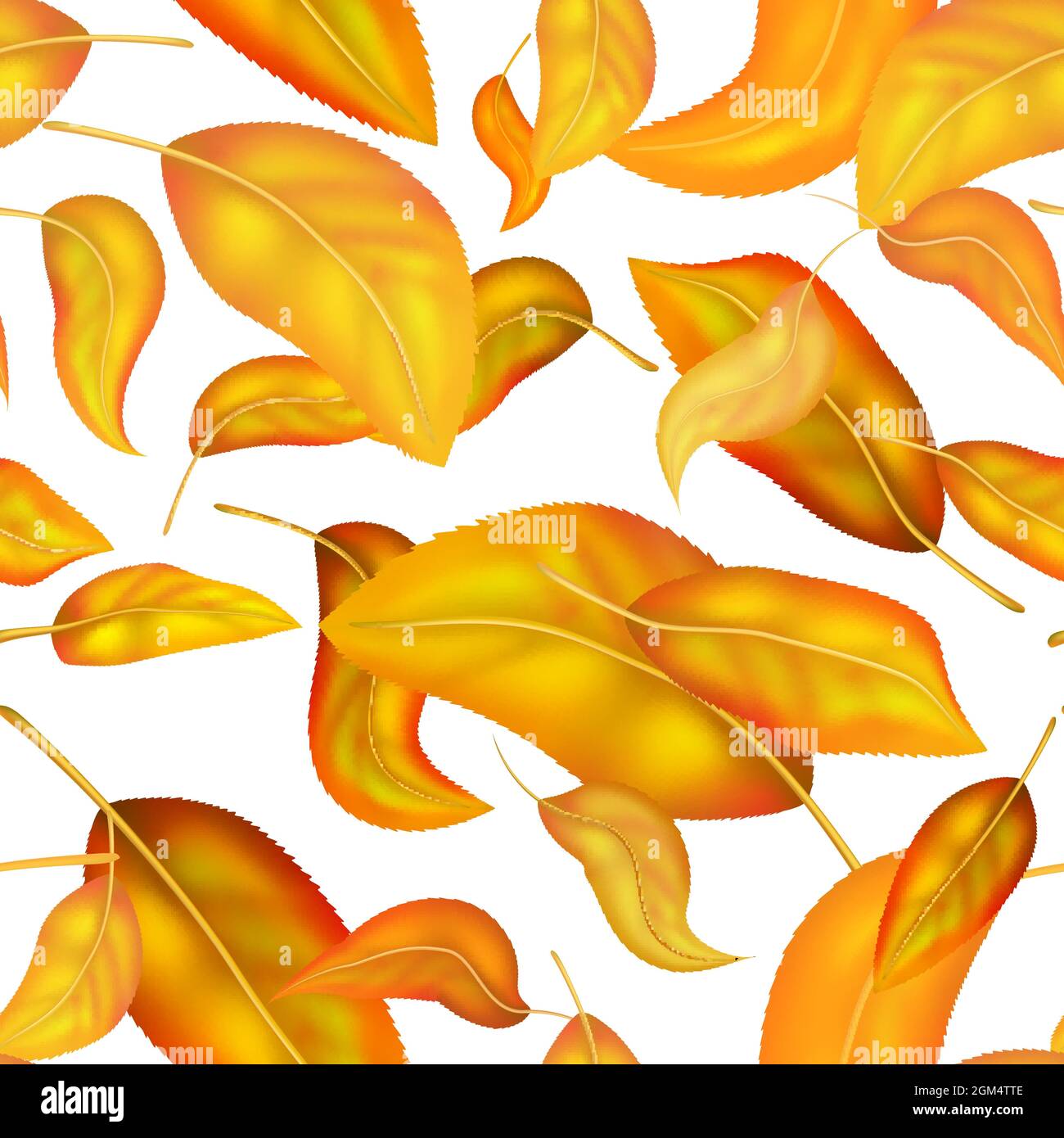 Seamless pattern bright colorful autumn foliage isolated on white ...