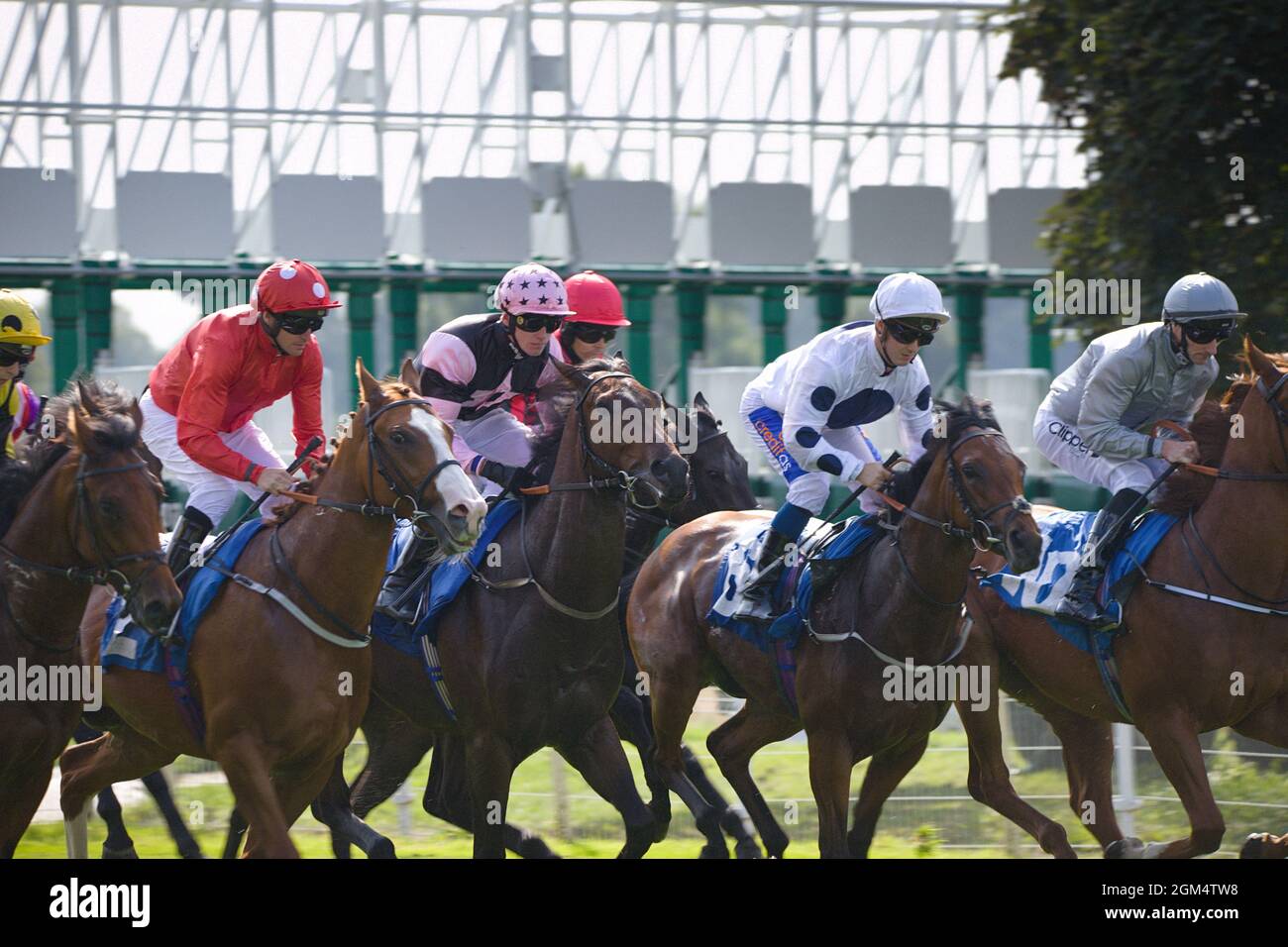 Jockeys Tony Hamilton, Cam Hardie, Shane Gray and Daniel Tudhope ...