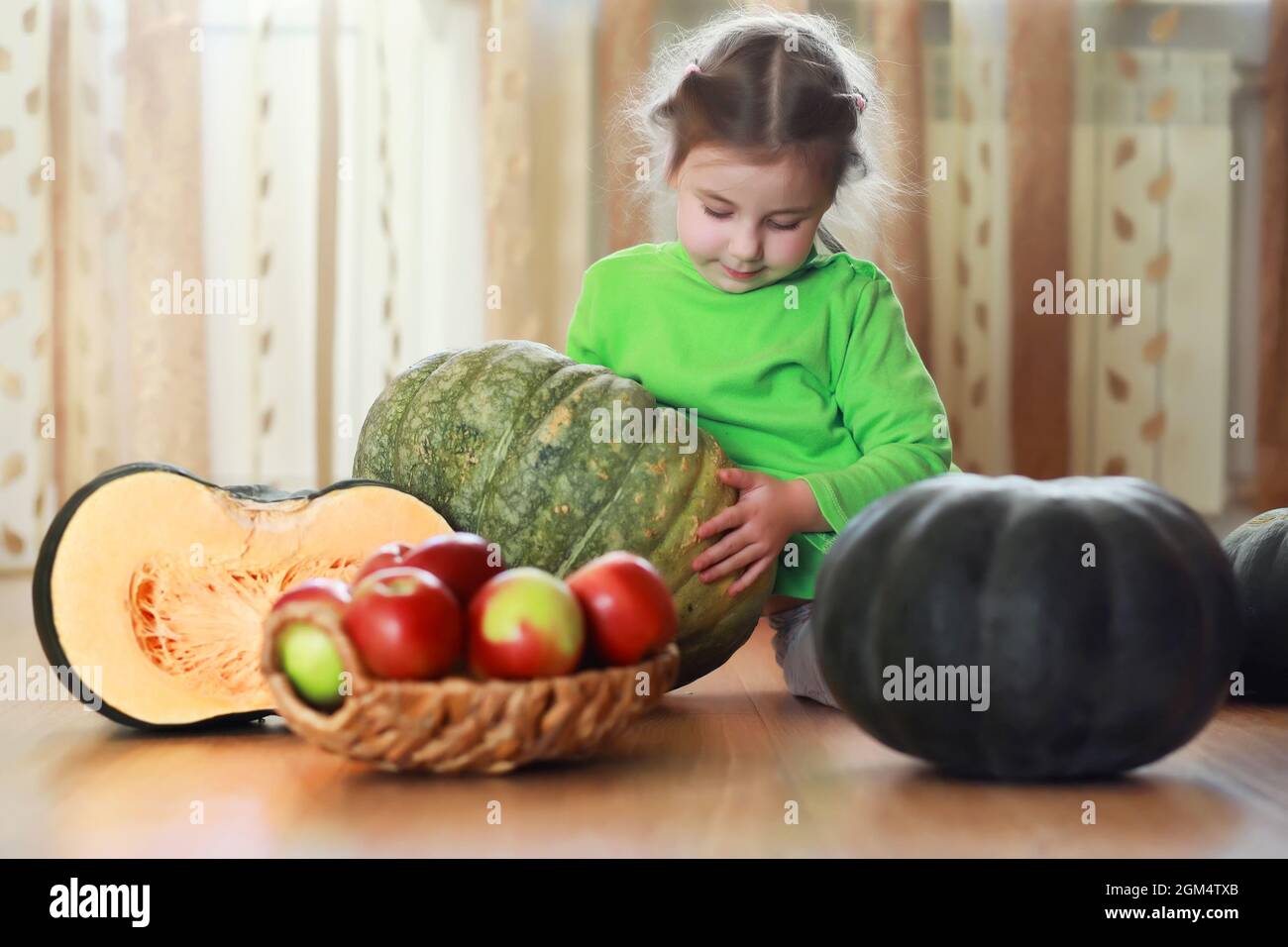 Little child choose a pumpkin autumn. Child sitting on giant pumpkin ...