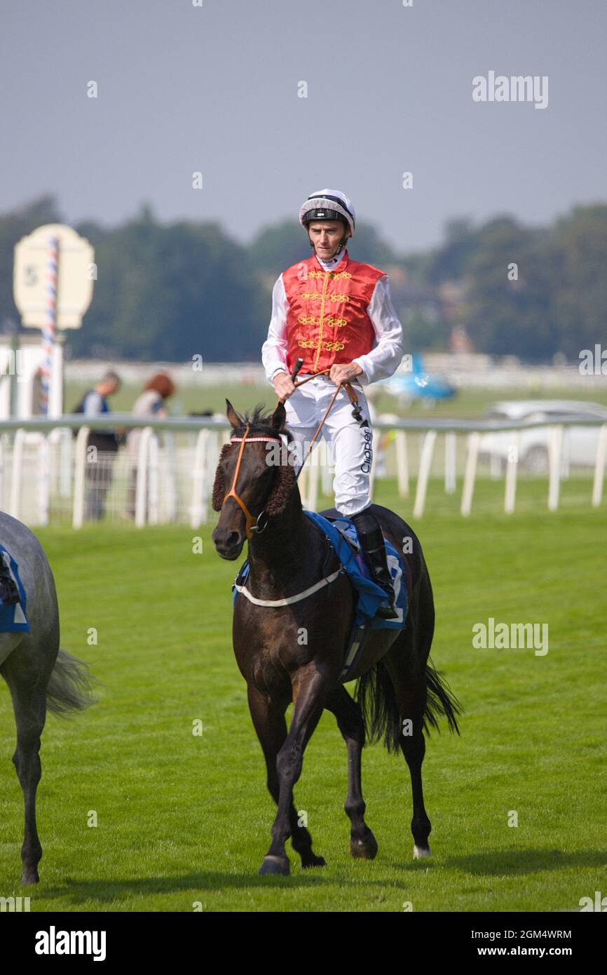 Nomadic empire horse hi-res stock photography and images - Alamy