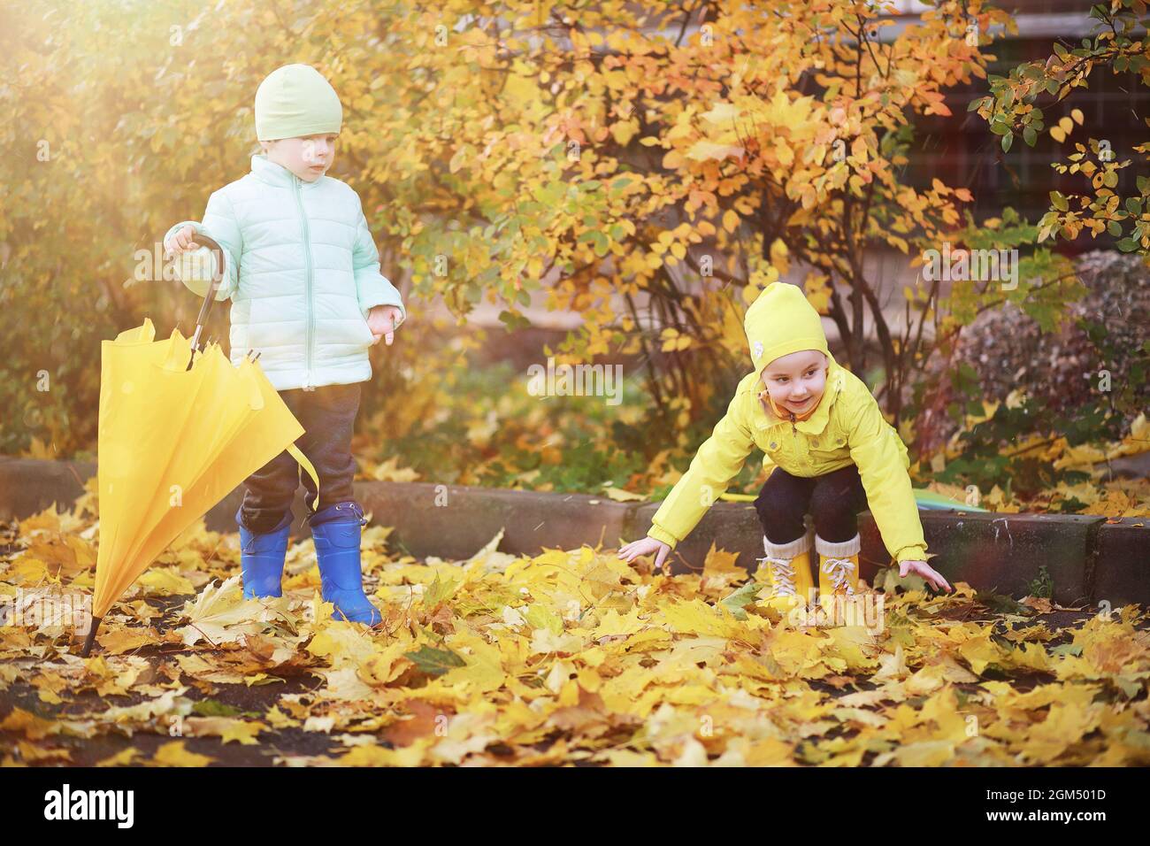 Children walk in the autumn park in the fall Stock Photo - Alamy