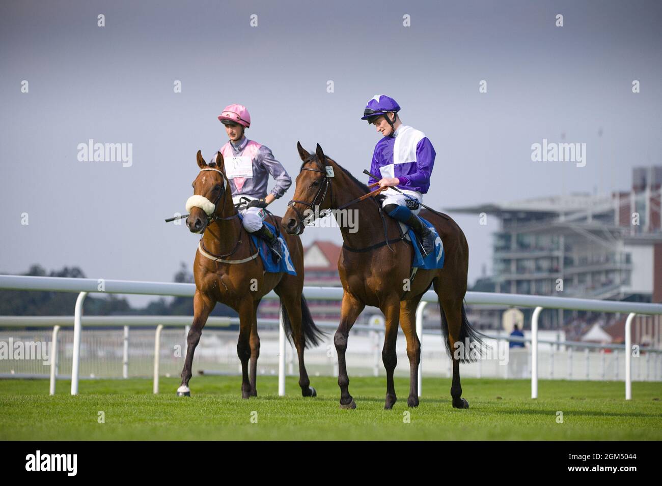 Jockeys Daniel Muscutt and Jack Garrity having a chat while riding ...
